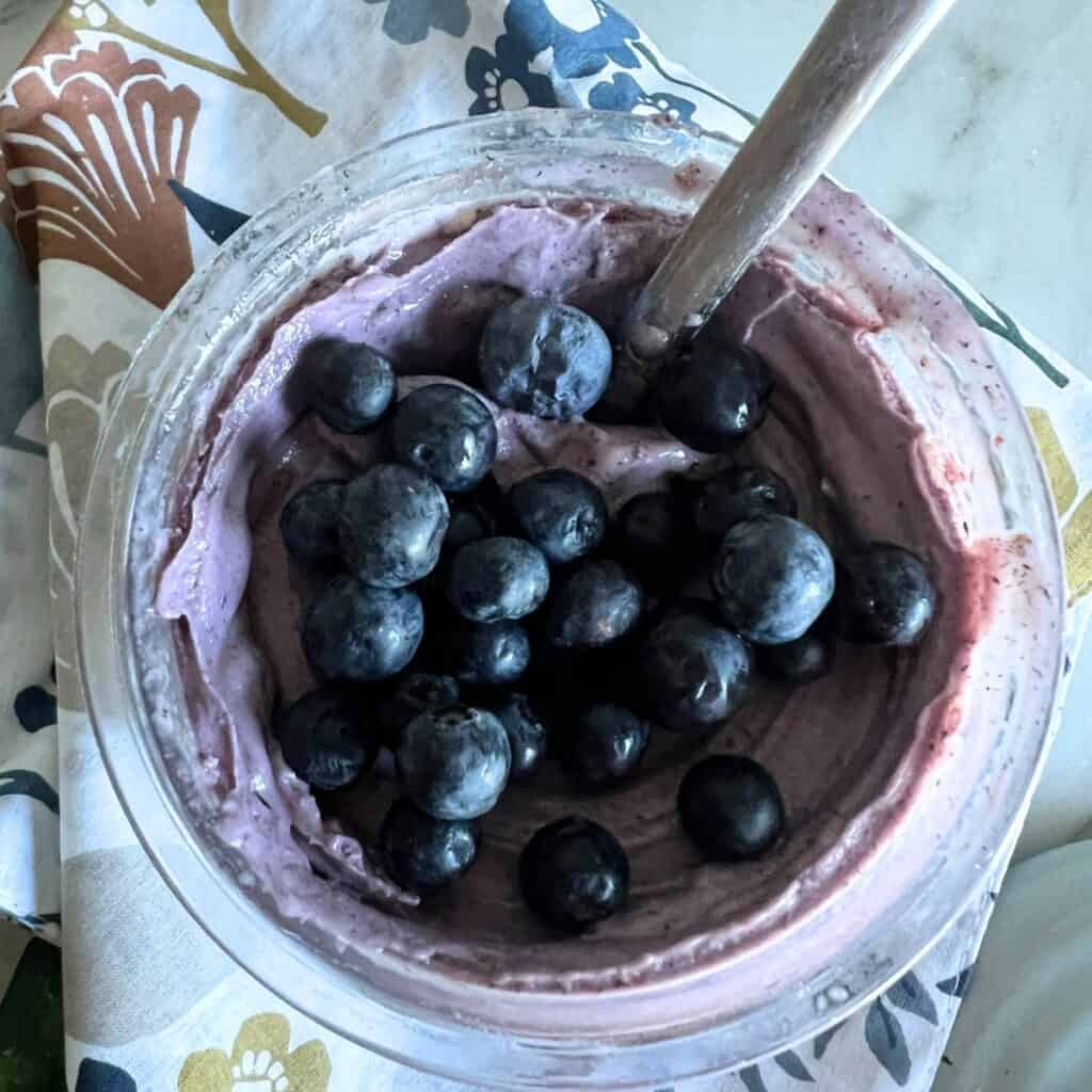 Ninja Creami Blueberry Ice Cream - Recipe Diaries