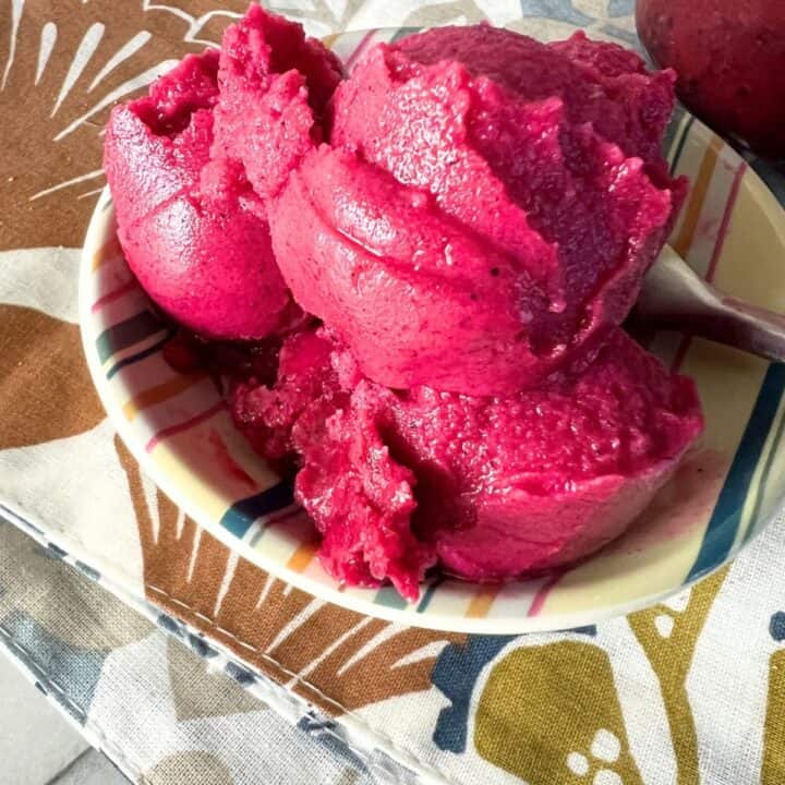Dragon Fruit Sorbet Ninja Creami - Recipe Diaries